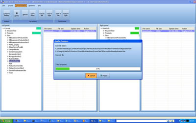 Sync Last Files Professional