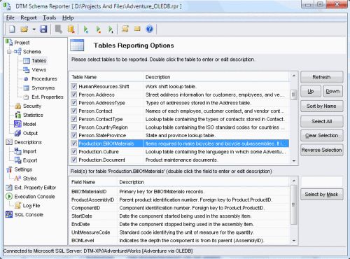 Descargar DTM Schema Reporter