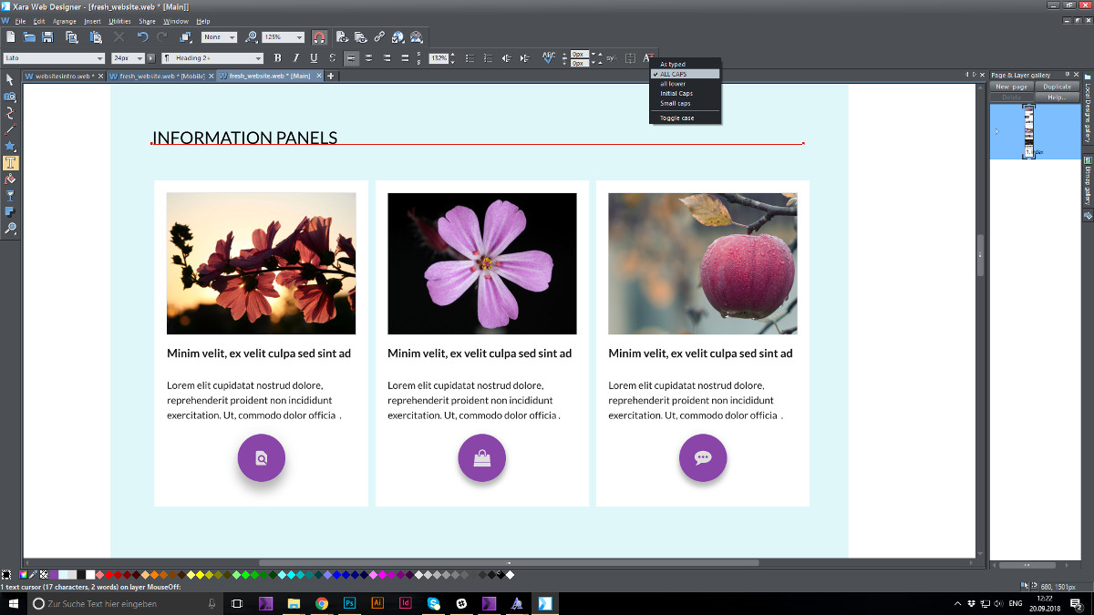 MAGIX Web Designer