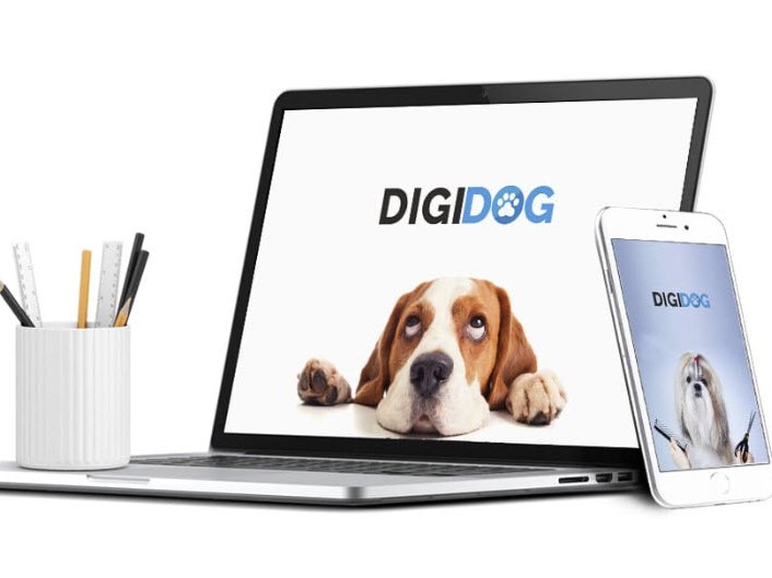 Download Digidog
