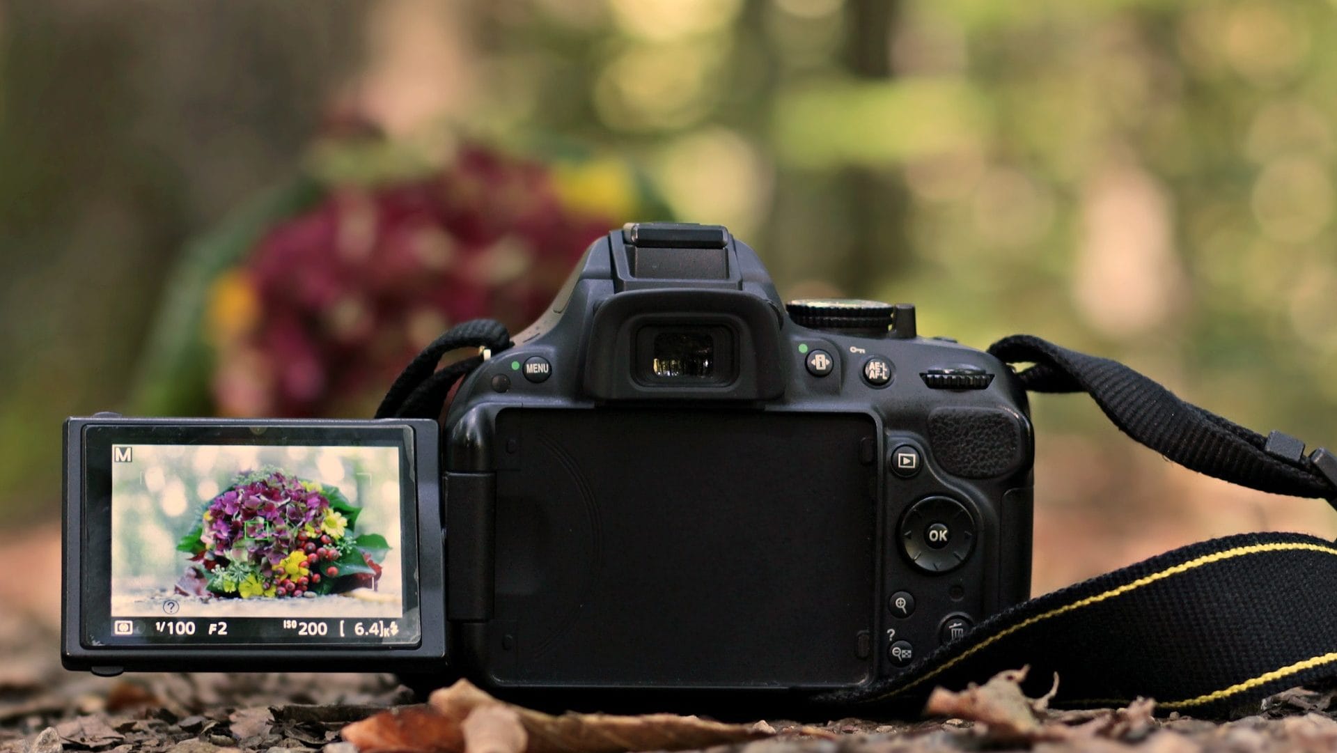 The best free photo viewers - Logitheque English