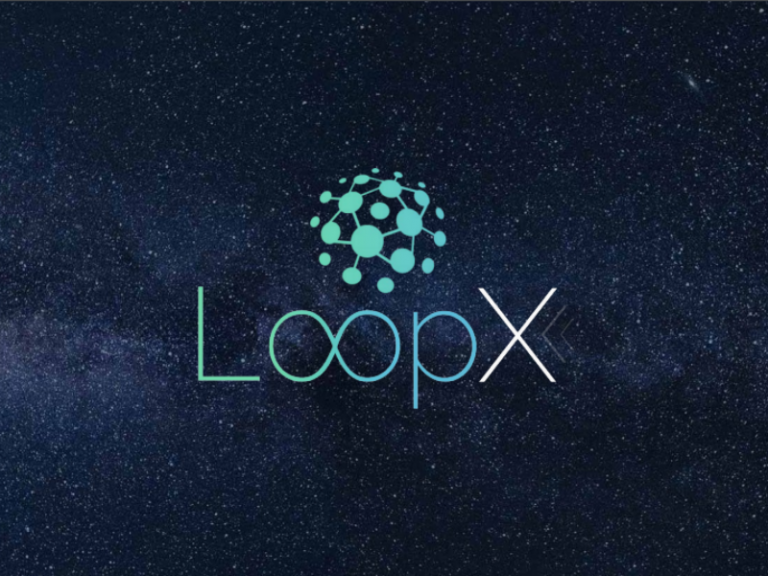 LoopX, la startup que desaparece con millones de dólares en criptomonas ...